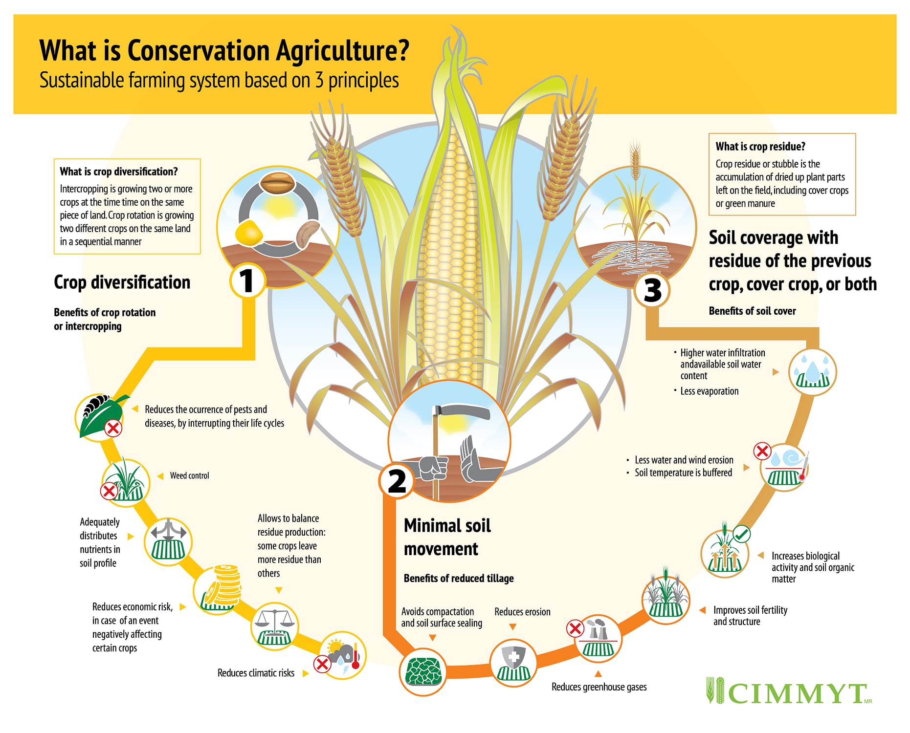 What is conservation agriculture? – CIMMYT