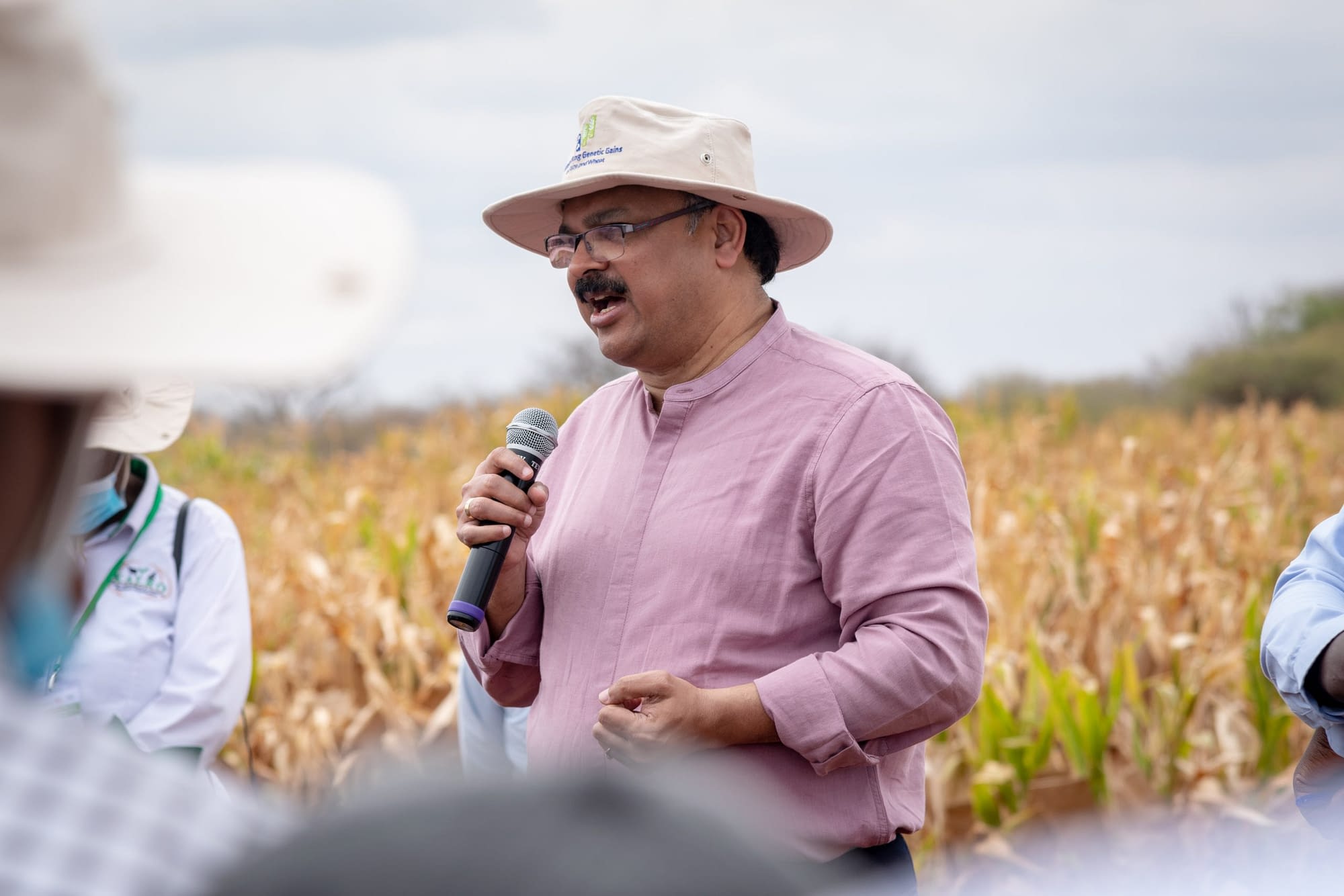 AGG-Maize project registers impressive progress – CIMMYT