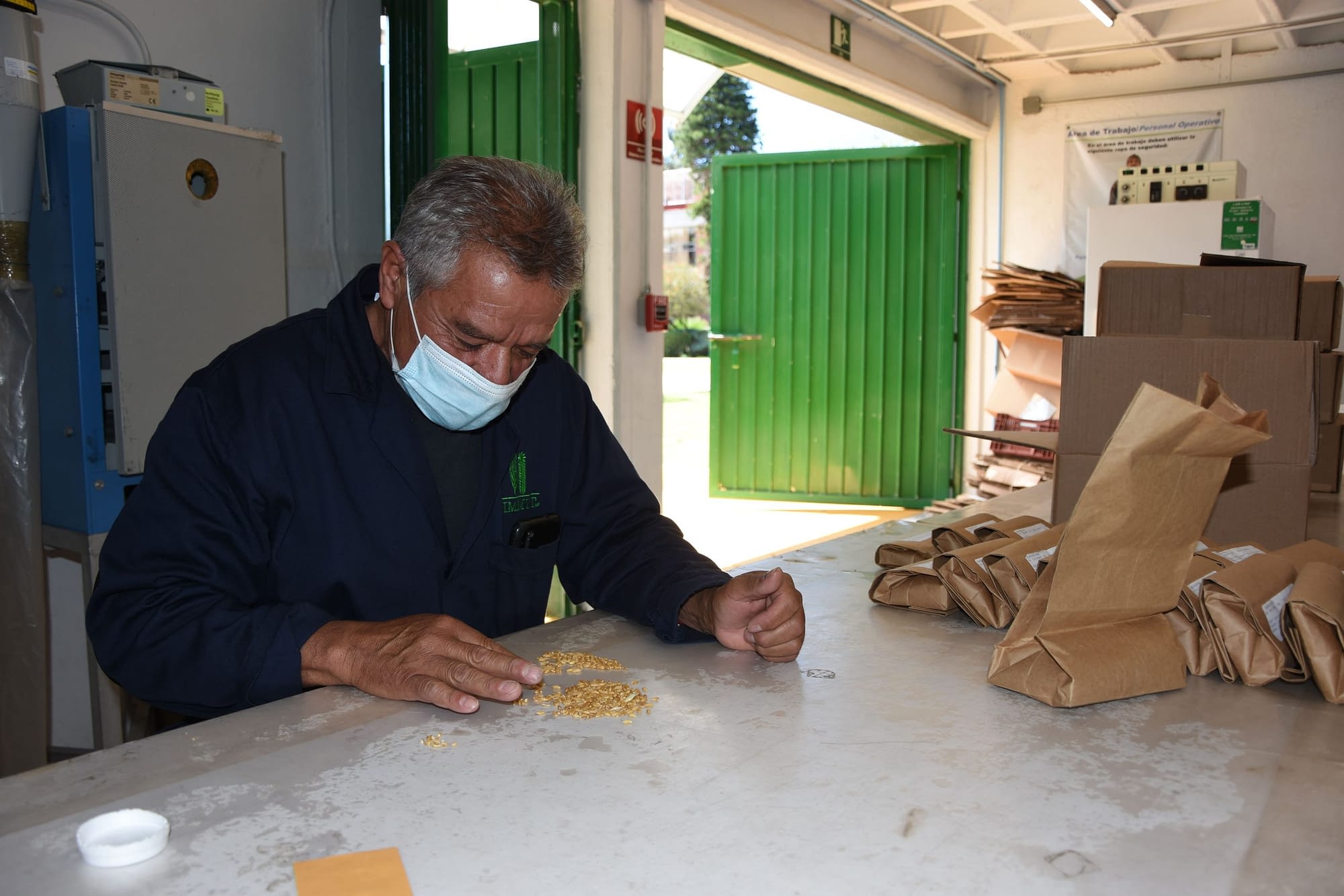 CIMMYT delivers seed to Svalbard Global Seed Vault – CIMMYT