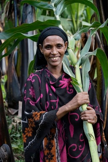 Participatory approaches to gender in agricultural development – CIMMYT
