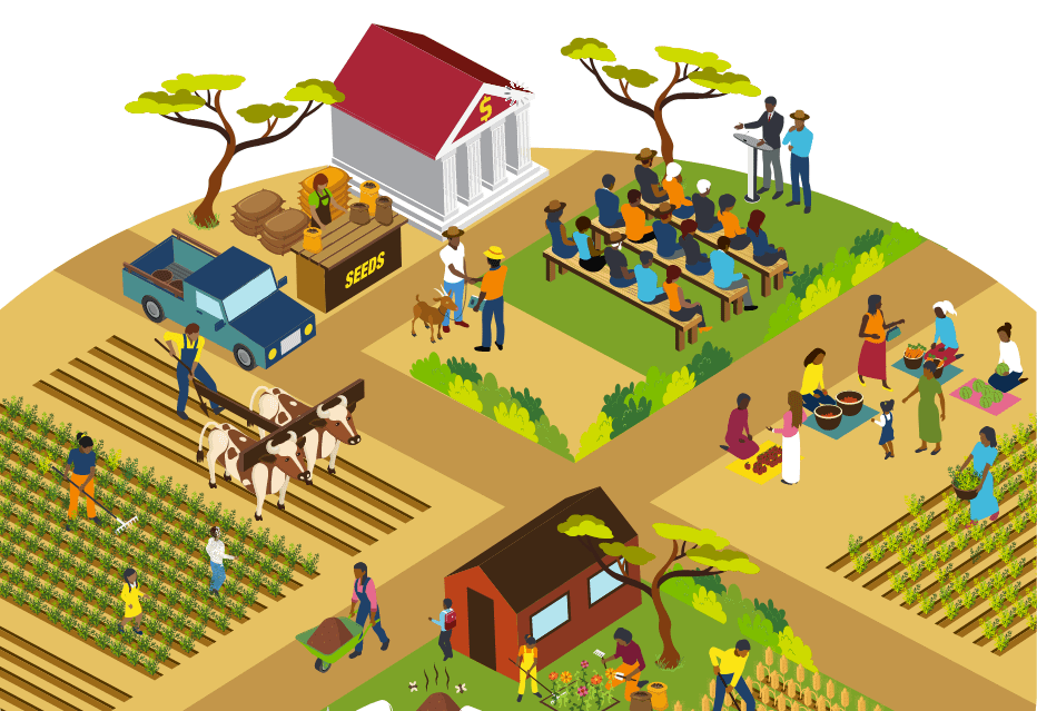 Science for scaling – CIMMYT