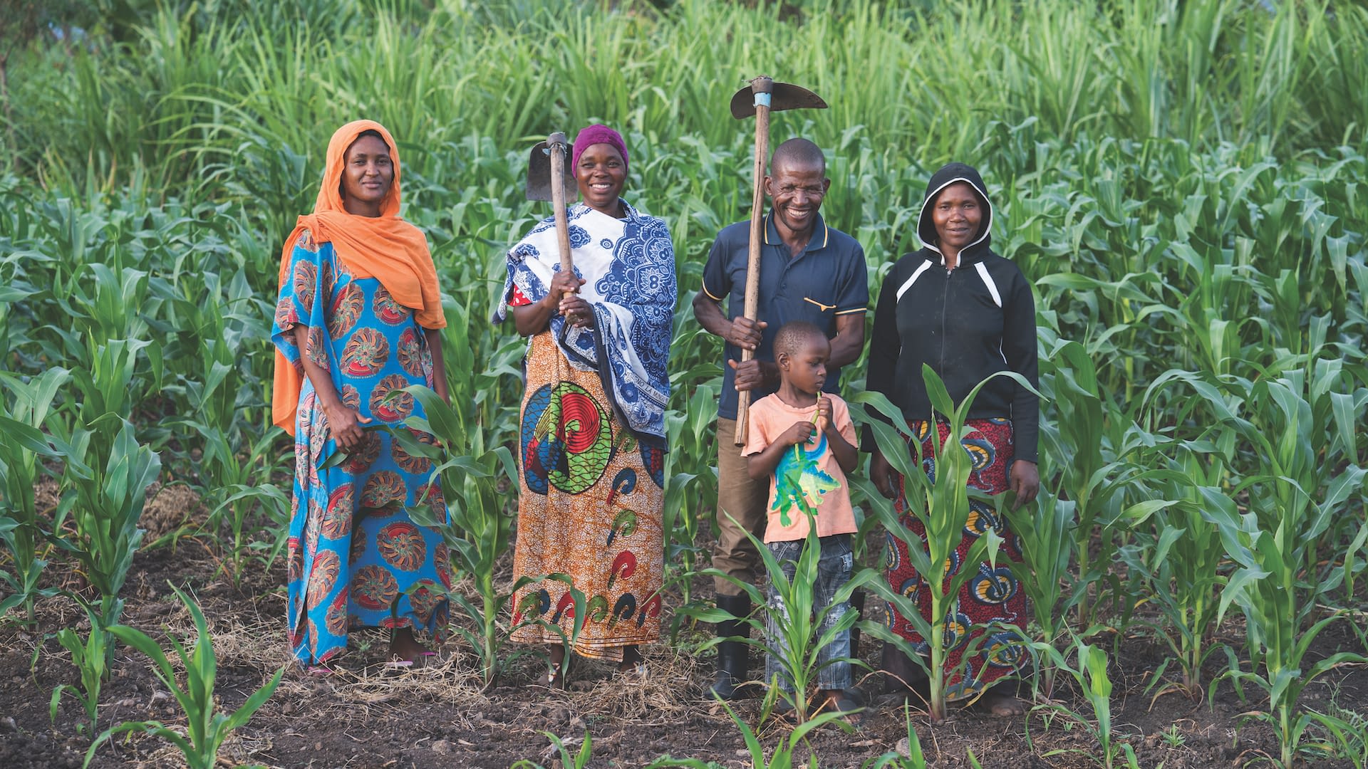 Investment in maize for Africa pays off – CIMMYT