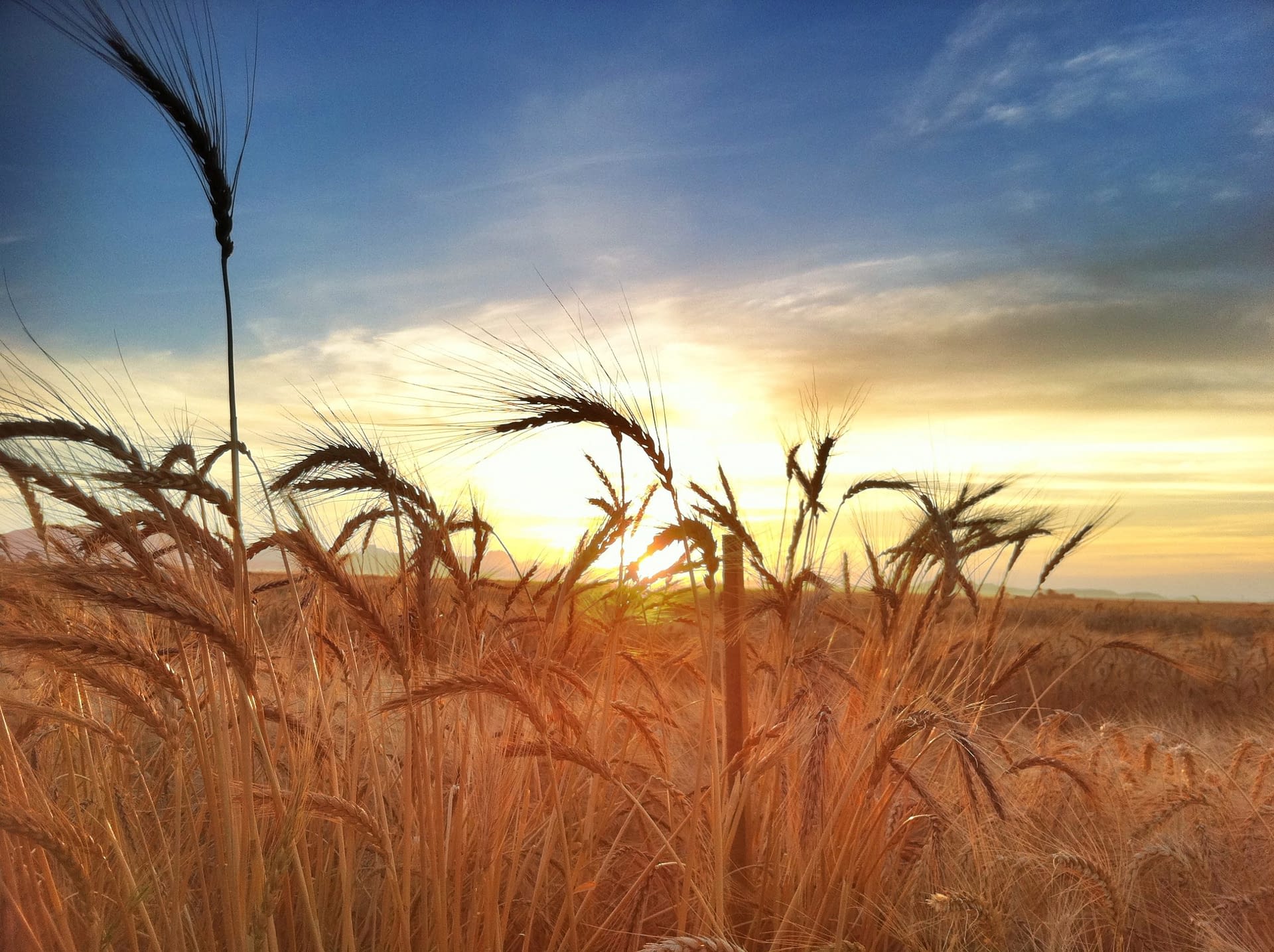 Scientists bridge theory and practice to boost climate resilience in ...