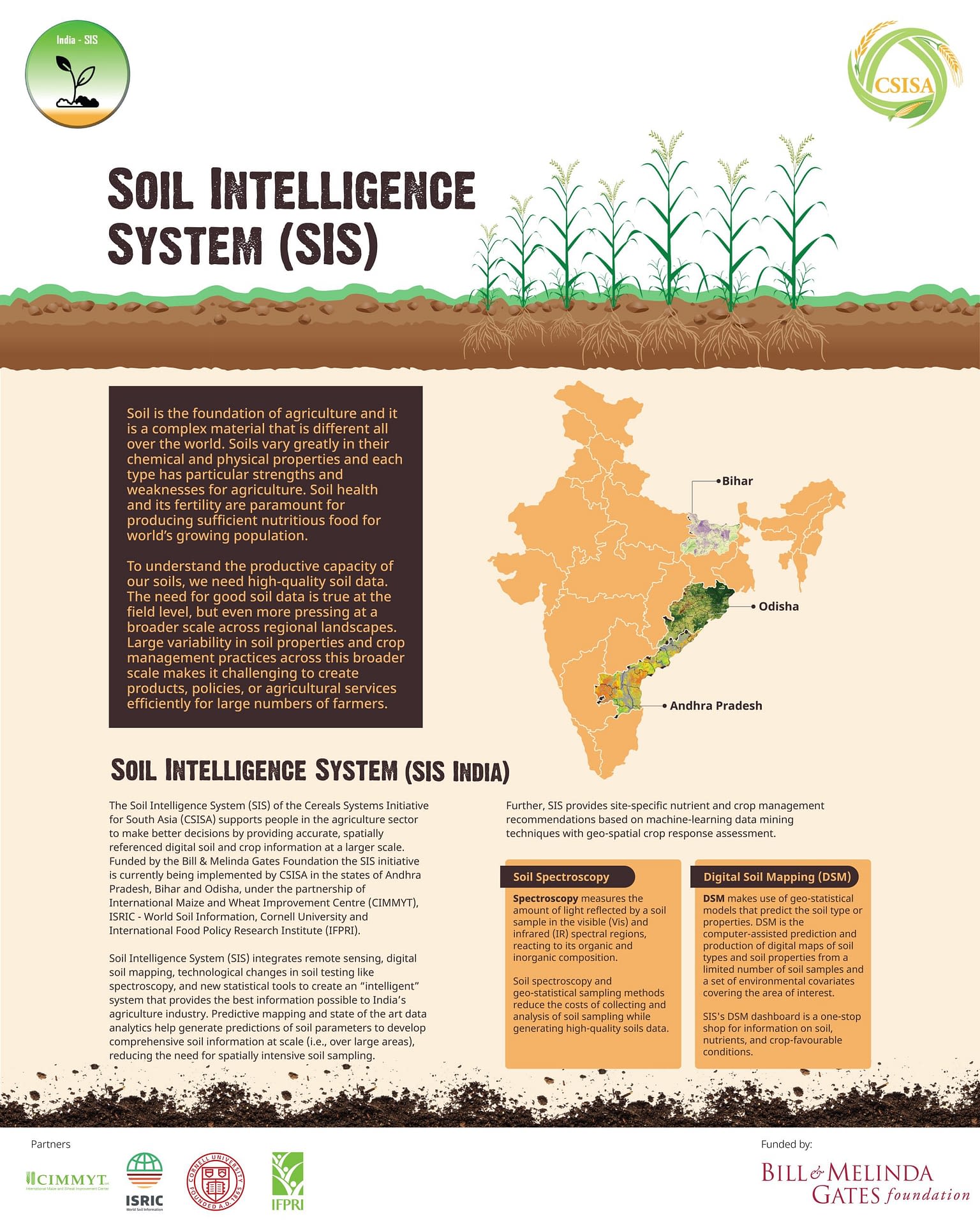 New CSISA Infographic highlights the impact of the CIMMYT’s Soil ...