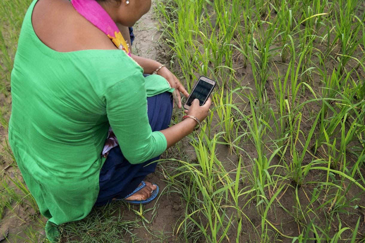 Connect rural areas with digital innovations to unlock climate ...